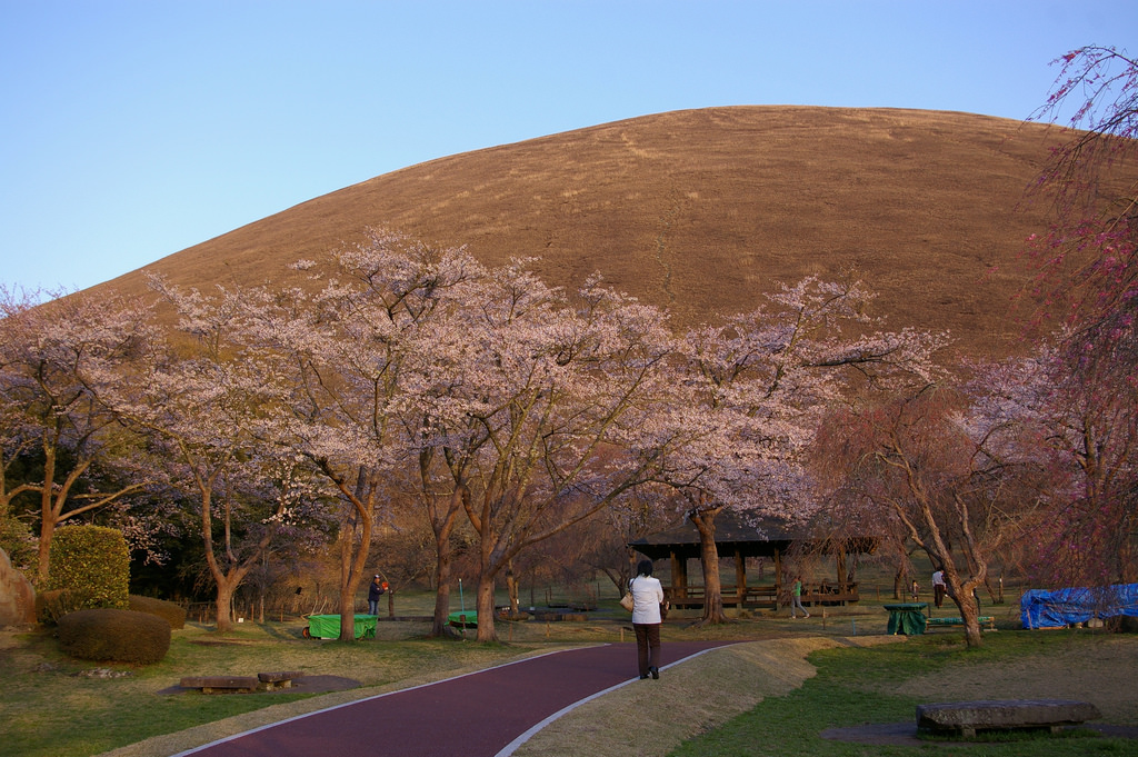 100 จุดชมซากุระ สวยตรึงใจ ชาวญี่ปุ่นตลอดกาล - Chill Chill Japan