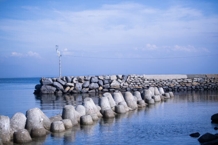 Ainoshima เกาะแมวญี่ปุ่น แห่งฟุกุโอกะ สวรรค์ที่ทาสต้องไป - Chill Chill ...