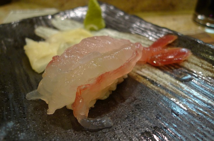 รู้จัก ประเภทของซูชิ และวิธีกินที่ถูกต้องกันเถอะ! - Chill Chill Japan