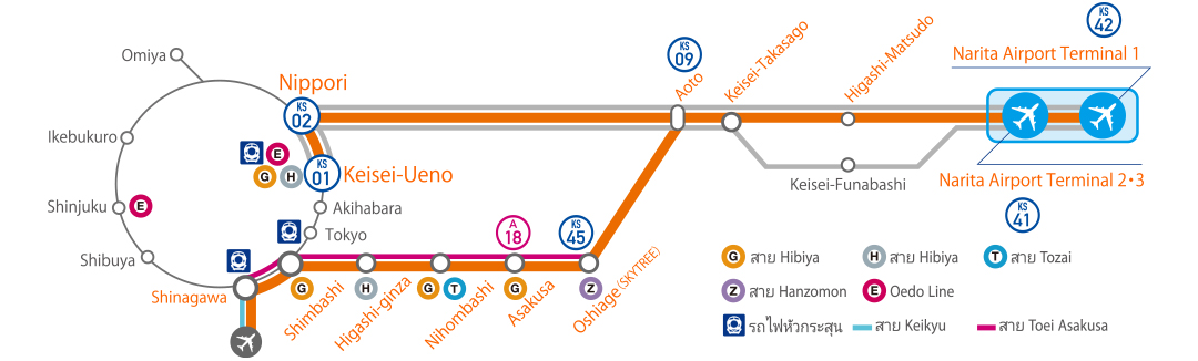 จากนาริตะไปโตเกียว รวมวิธีเดินทางสุดสะดวก เข้าเมืองชิลๆ - Chill Chill Japan