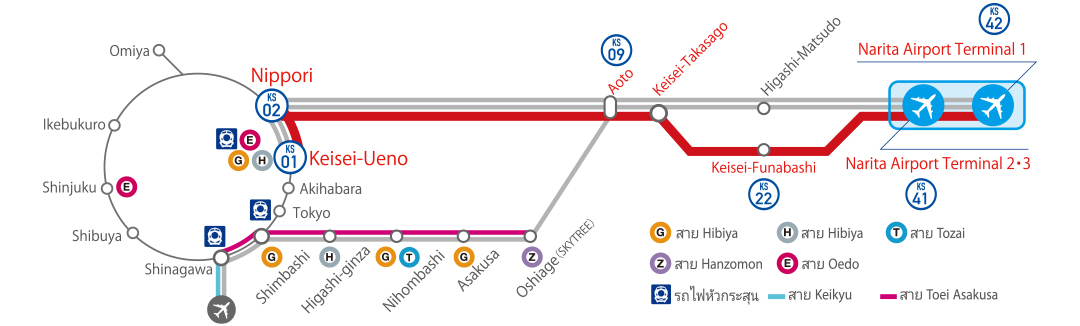 จากนาริตะไปโตเกียว รวมวิธีเดินทางสุดสะดวก เข้าเมืองชิลๆ - Chill Chill Japan
