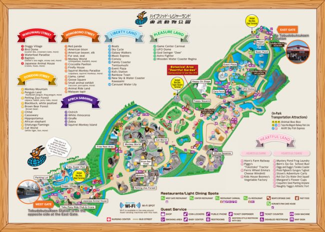 10 สวนสัตว์ญี่ปุ่น ยอดนิยม พิกัดดี สนุกได้ทั้งครอบครัว - Chill Chill Japan