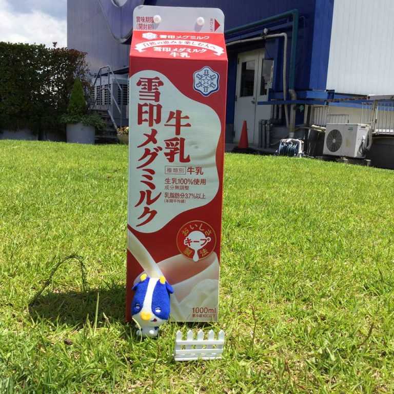 รวม 8 นมญี่ปุ่น อร่อยหอมมัน คุณภาพคับกล่อง - Chill Chill Japan