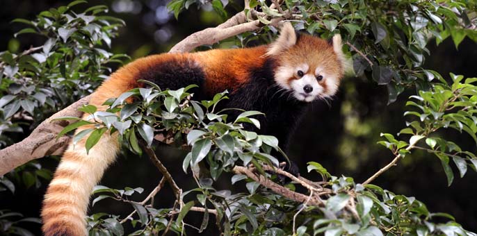 ทริปโตเกียวสุดฟิน! ด้วยรถไฟสาย Keio Line วันเดียวก็เที่ยวได้ พร้อมแนะนำ ...