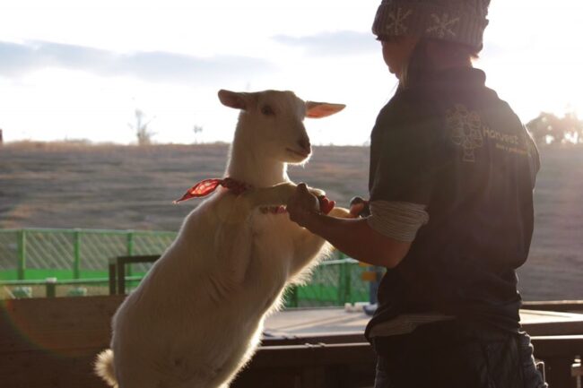 Unseen Osaka กับ 10 สถานที่ มุมมองใหม่ พร้อมกิจกรรมแนะนำไม่จำเจ - Chill ...