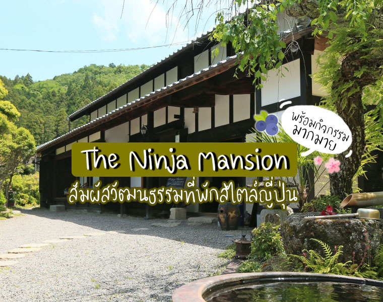 เที่ยวใกล้นาโกย่า พักที่ The ninja mansion ชมดอกไม้พร้อมสนุกกับการเก็บ ...
