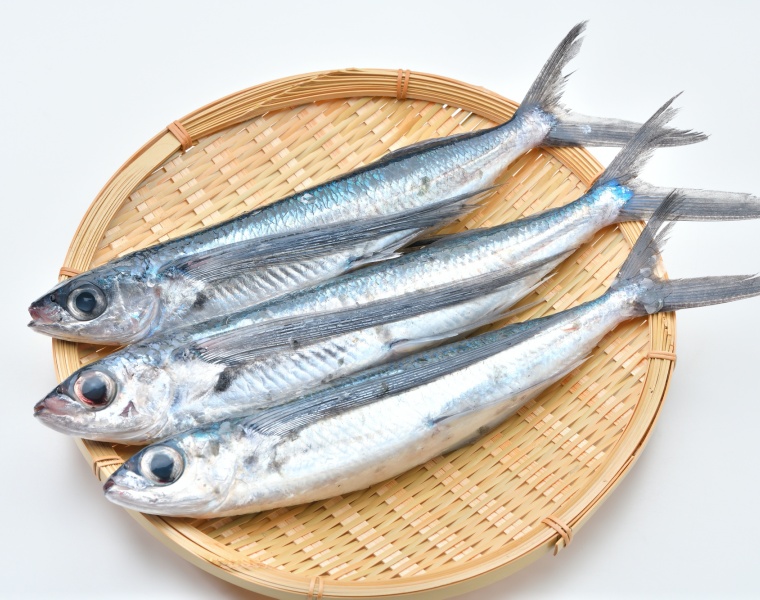 รู้จัก ปลาบิน ญี่ปุ่น : Tobiuo คืออะไร - Chill Chill Japan