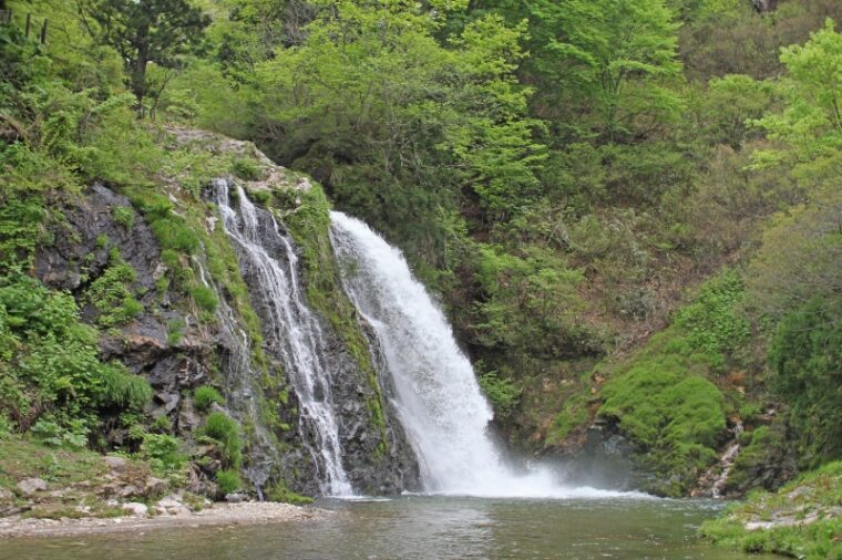 Golden route เที่ยวญี่ปุ่นเส้นทางใหม่ สนุกกับกิจกรรมหิมะ โทชิงิ-มินามิ ...