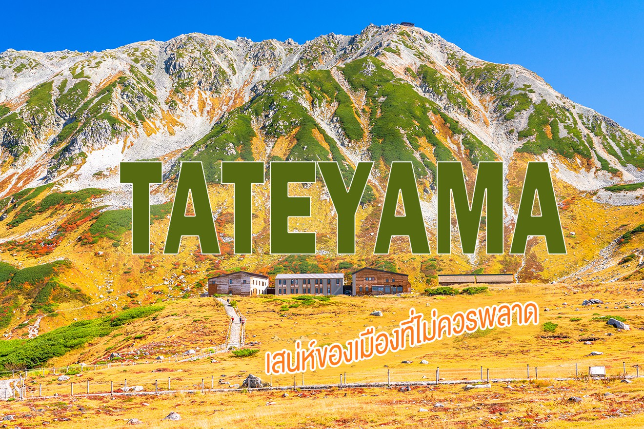 TATEYAMA เสน่ห์ของเมืองที่ไม่ควรพลาด - Chill Chill Japan