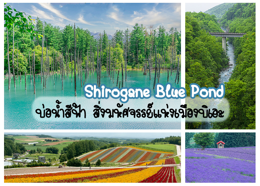 Shirogane Blue Pond บ่อน้ำสีฟ้า สิ่งมหัศจรรย์แห่งเมืองบิเอะ - Chill ...