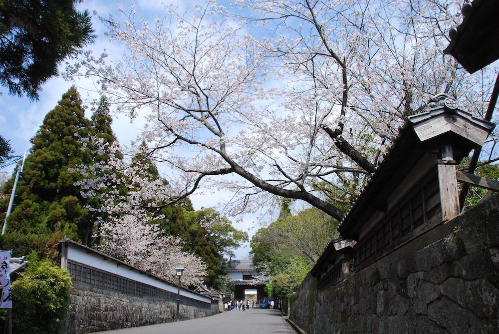 [รีวิวที่เที่ยว] Day 1 เมือง Nichinan จังหวัด Miyazaki รูปปั้นโมอายทั้ง ...