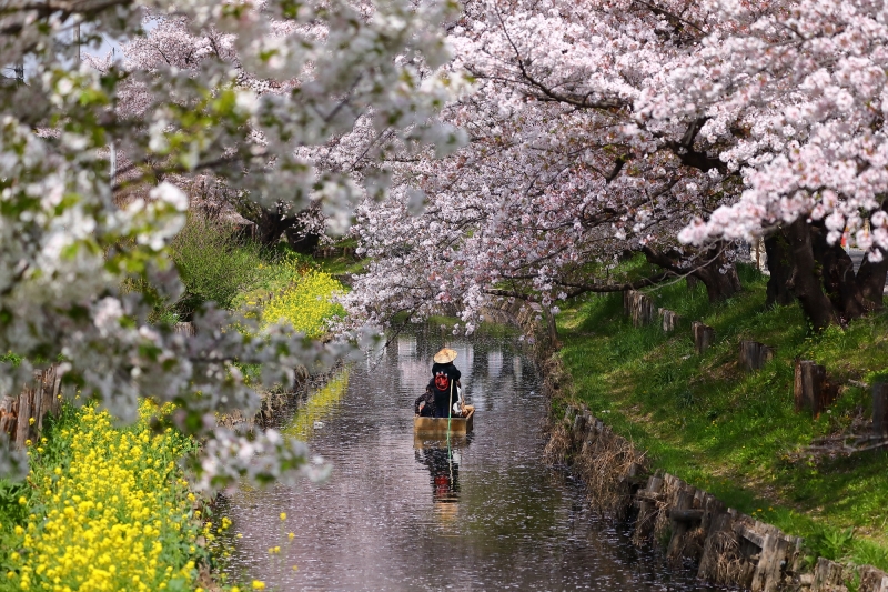 11 ที่เที่ยว ไซตามะ (Saitama) ใน 1 วัน กับจุดเช็คอินสุดว๊าว ใกล้โตเกียว ...