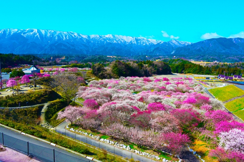 17 ที่เที่ยว มิเอะ ( Mie ) สักครั้งในชีวิตกับดินแดนศักดิ์สิทธิ์ ขอพรหิน ...