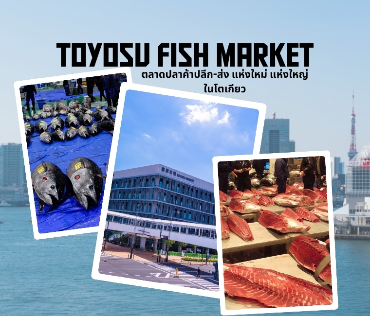 แนะนำตลาดปลาโทโยสุ (Toyosu Market) ตลาดปลาน้องใหม่แห่งกรุงโตเกียว ...
