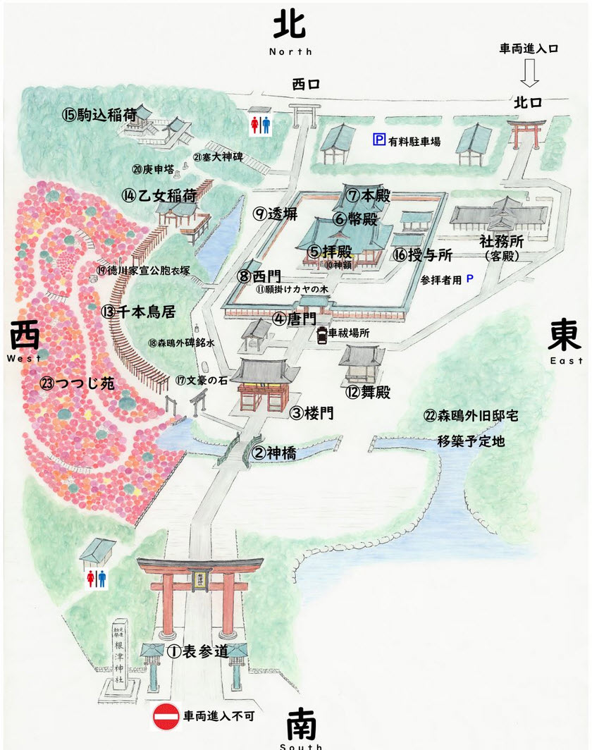 Nezu Shrine ขอพรเรื่องความรัก ชมดอกซึซึจิ ถ่ายรูปชิคชิคกับเสาโทริอิ จบ ...