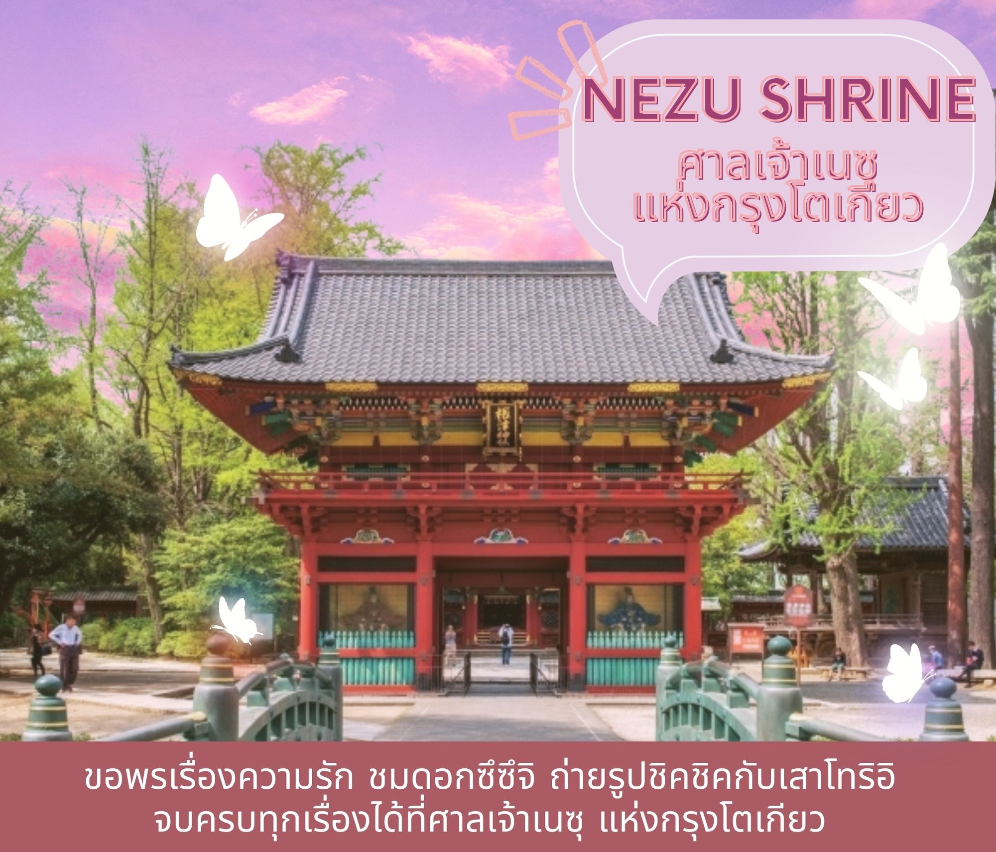 Nezu Shrine ขอพรเรื่องความรัก ชมดอกซึซึจิ ถ่ายรูปชิคชิคกับเสาโทริอิ จบ ...