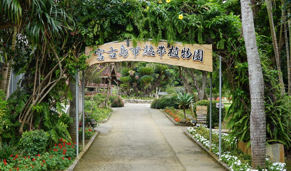 “มิยาโกะจิมะ (Miyako Island)” เกาะที่มีชายหาดและน้ำทะเลที่สวยที่สุดใน ...