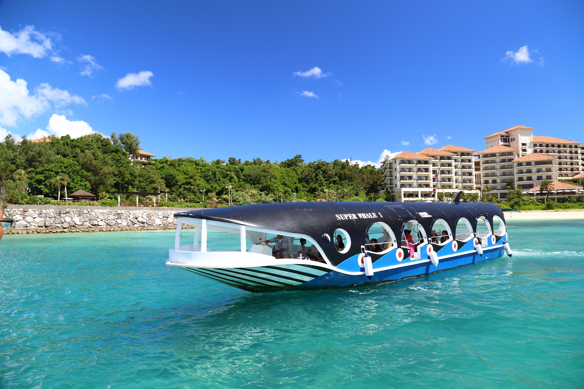 “Busena Marine Park” แอบส่องชีวิตสัตว์น้ำใต้ทะเลแห่งหมู่เกาะโอกินาวะแบบ ...