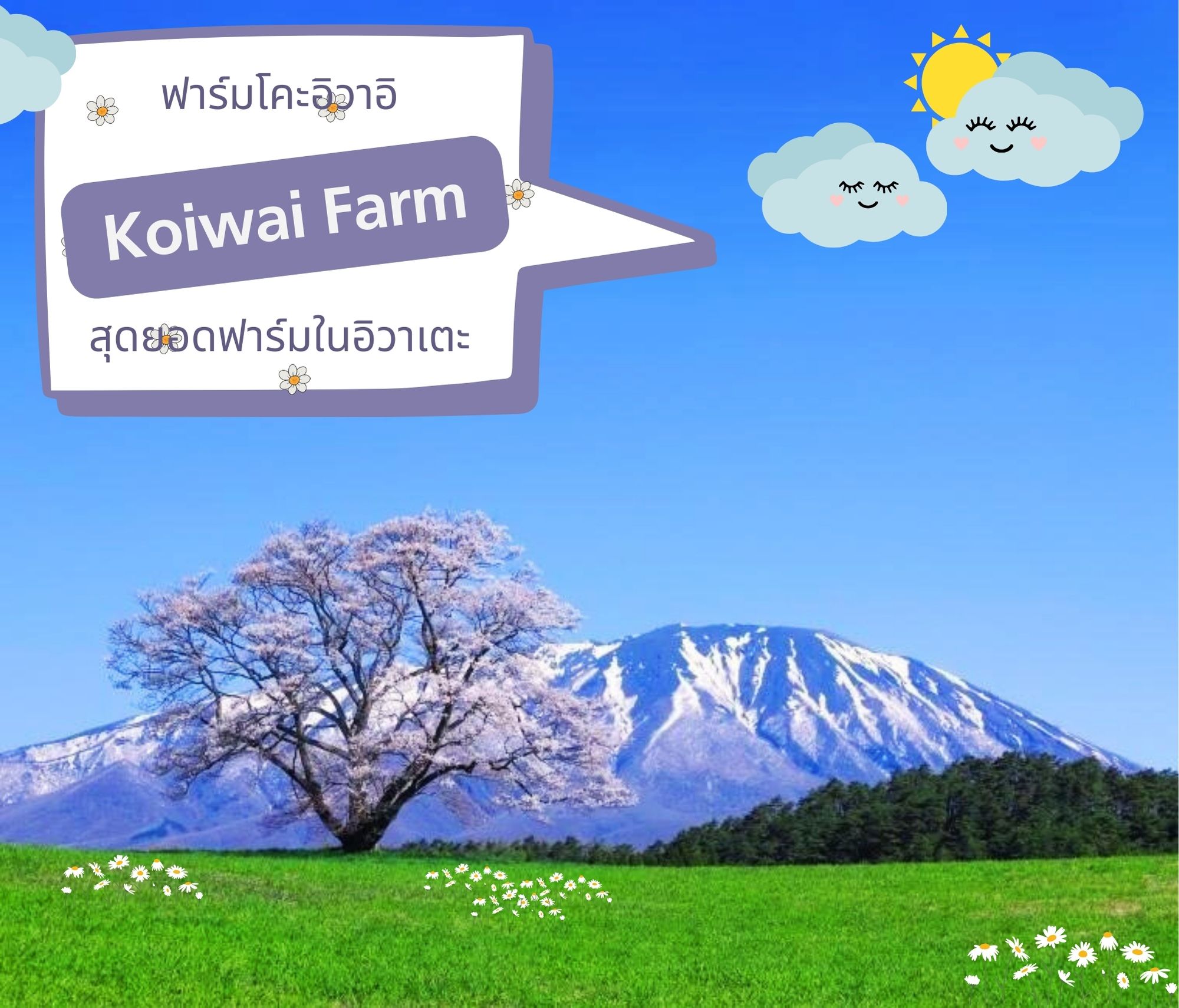 “ฟาร์มโคะอิวาอิ (Koiwai Farm)” สุดยอดฟาร์มในอิวาเตะ - Chill Chill Japan