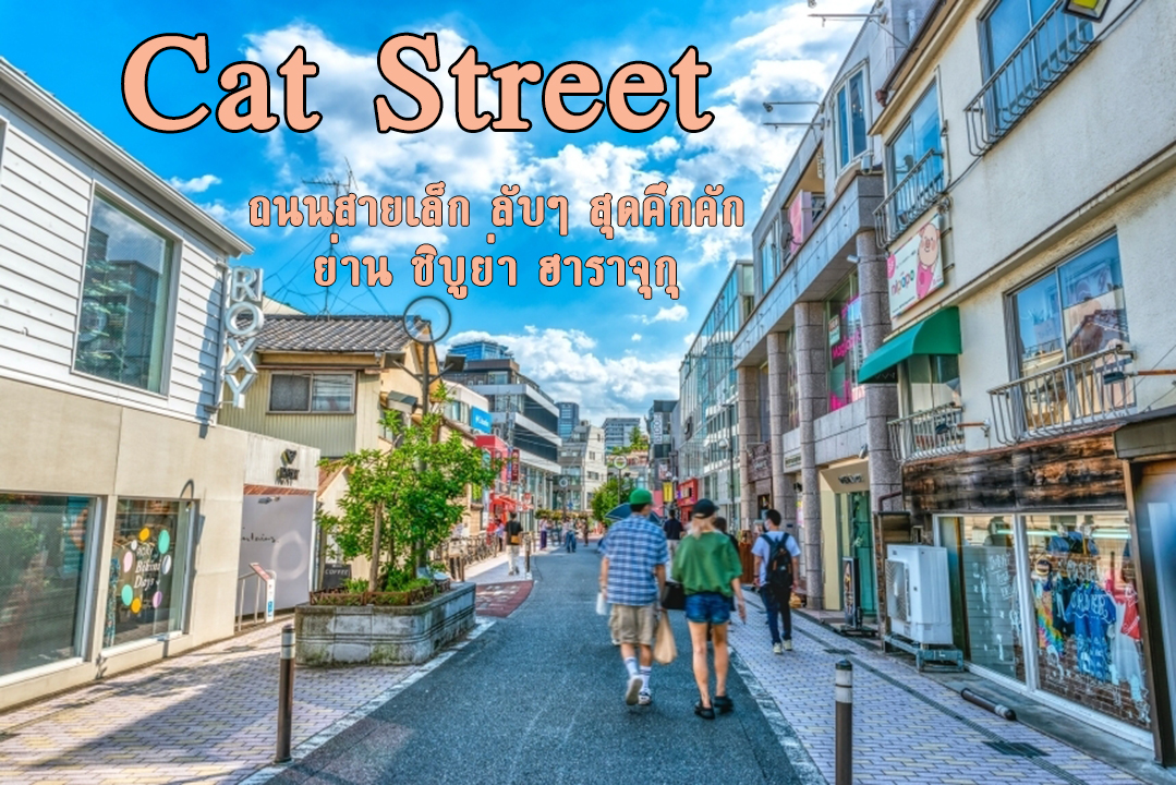 Cat Street ถนนสายเล็ก ลับๆ สุดคึกคักย่าน ชิบูย่า ฮาราจุกุ - Chill Chill Japan