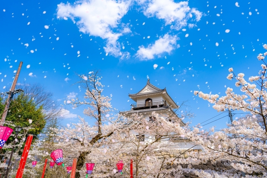 ชมซากุระสุดงามที่ปราสาท Shiroishi Castle แห่งภูมิภาค Tohoku - Chill ...