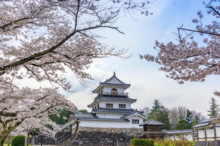 ชมซากุระสุดงามที่ปราสาท Shiroishi Castle แห่งภูมิภาค Tohoku - Chill ...