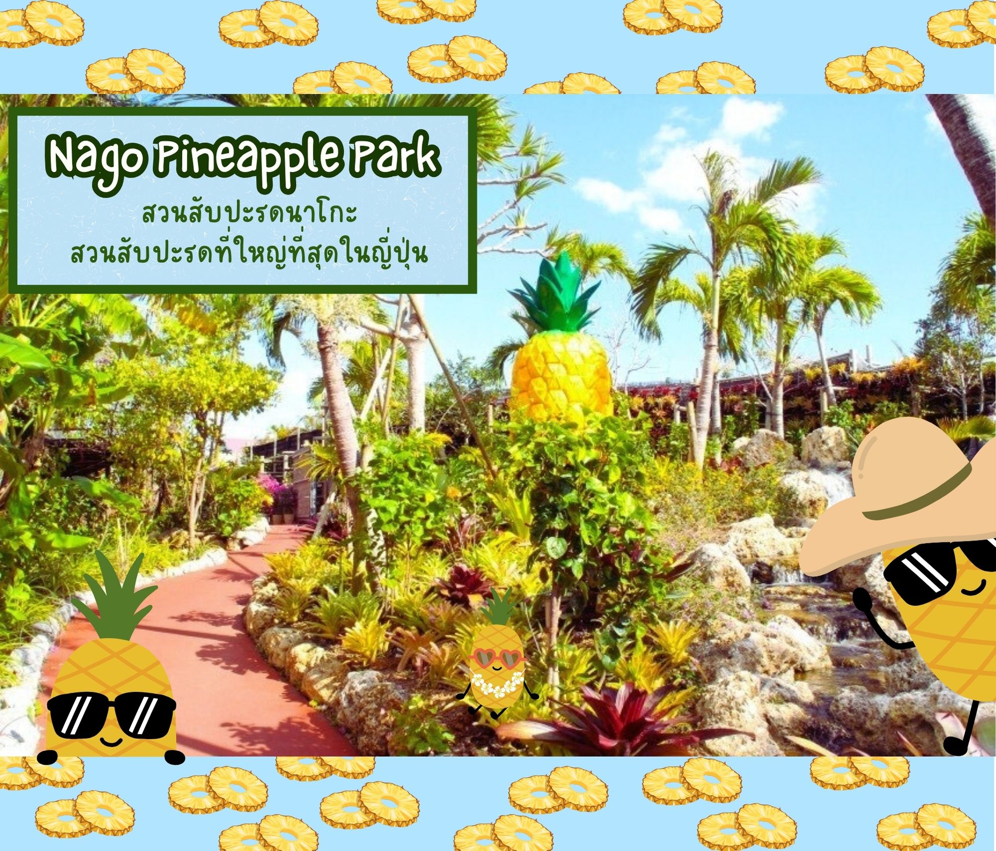 สวนสับปะรดนาโกะ (Nago Pineapple Park) สวนสับปะรดที่ใหญ่ที่สุดในญี่ปุ่น - Chill Chill Japan