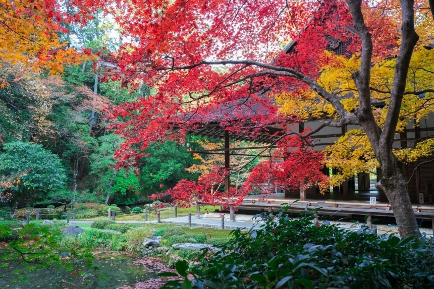 วัด Nanzenji วัดเก่าแก่บรรยากาศสุดร่มรื่นที่ต้องห้ามพลาดแห่ง Kyoto ...