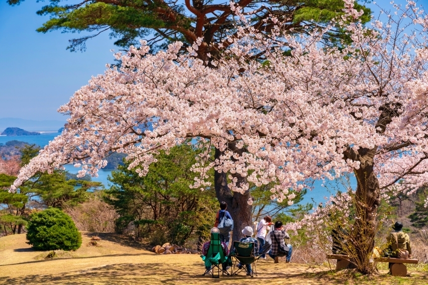 ชมวิวสวยๆ แบบพาโนรามา ที่ Saigyo Modoshi no Matsu Park - Chill Chill Japan