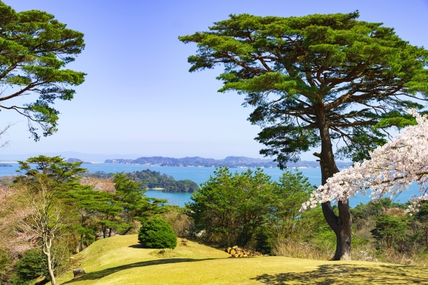 ชมวิวสวยๆ แบบพาโนรามา ที่ Saigyo Modoshi no Matsu Park - Chill Chill Japan