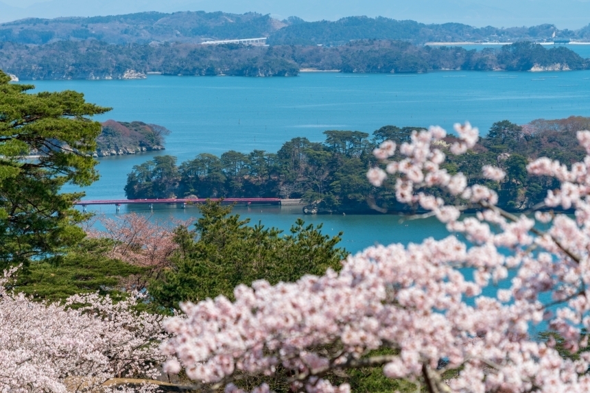 ชมวิวสวยๆ แบบพาโนรามา ที่ Saigyo Modoshi no Matsu Park - Chill Chill Japan