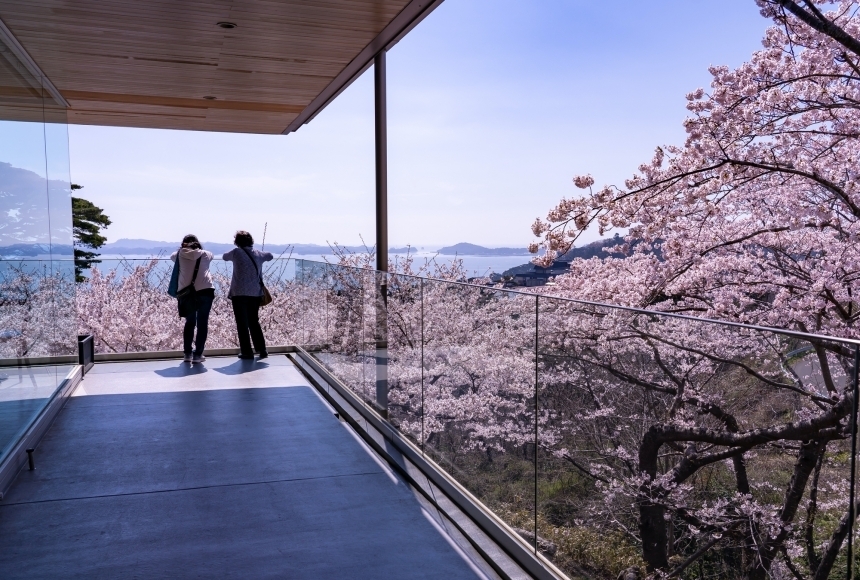 ชมวิวสวยๆ แบบพาโนรามา ที่ Saigyo Modoshi no Matsu Park - Chill Chill Japan