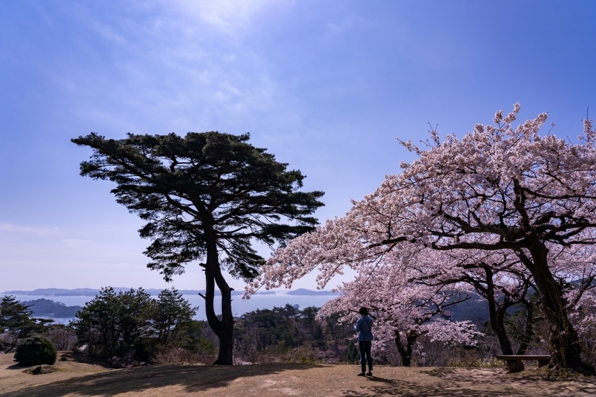 ชมวิวสวยๆ แบบพาโนรามา ที่ Saigyo Modoshi no Matsu Park - Chill Chill Japan