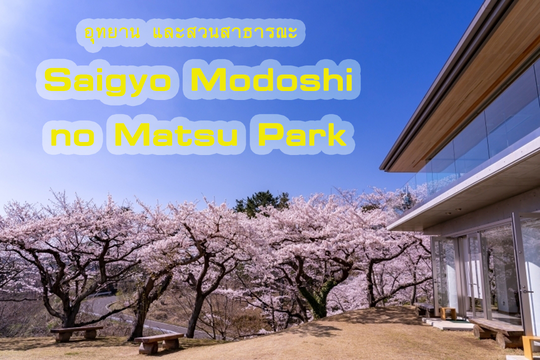 ชมวิวสวยๆ แบบพาโนรามา ที่ Saigyo Modoshi no Matsu Park - Chill Chill Japan