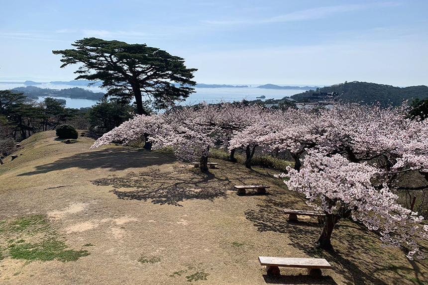 ชมวิวสวยๆ แบบพาโนรามา ที่ Saigyo Modoshi no Matsu Park - Chill Chill Japan