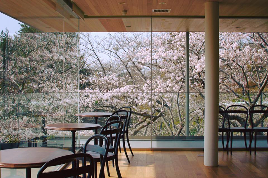 ชมวิวสวยๆ แบบพาโนรามา ที่ Saigyo Modoshi no Matsu Park - Chill Chill Japan