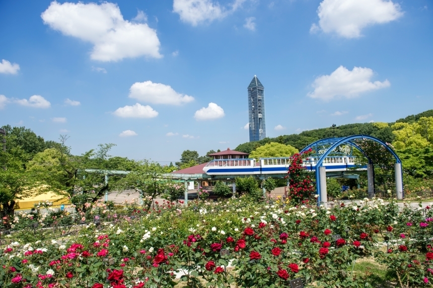 สวนสัตว์และพฤกษศาสตร์ฮิงาชิยามา (Higashiyama Zoo) ปอดสีเขียวแห่งเมืองนา ...