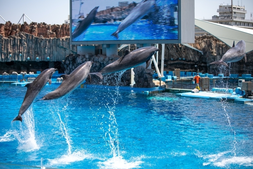 เพลินเพลินกับโลกใต้ทะเลสุดอลังการณ์ที่ Port of Nagoya Public Aquarium ...