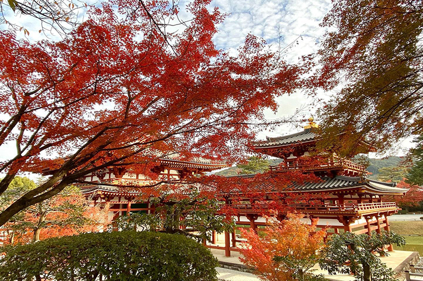 Byodoin Temple วัดพุทธนิกายโจโด สถาปัตยกรรม มรดกโลกของเกียวโต - Chill ...