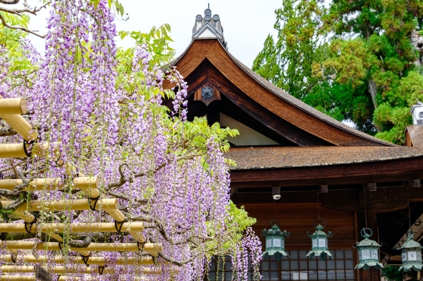 ศาลเจ้าคะซุงะ (Kasuga Taisha) มรดกโลกทางวัฒนธรรมขึ้นชื่อเรื่องโคมไฟ ...