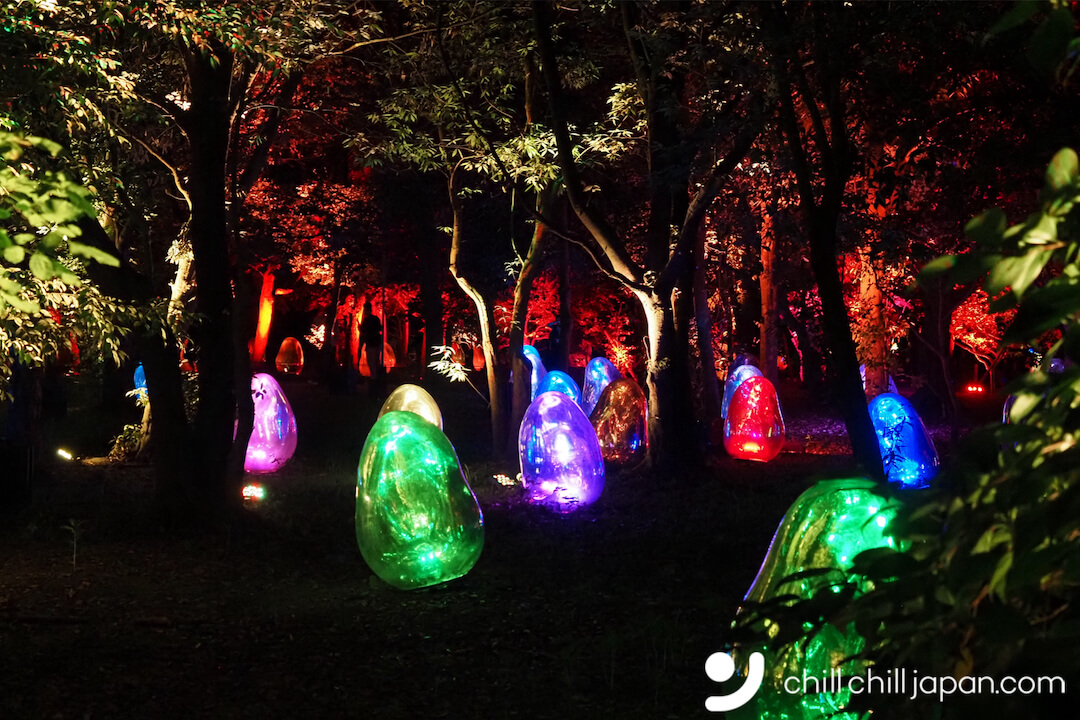 รีวิว “Teamlab Botanical Garden Osaka” นิทรรศกาลศิลปะแปลกใหม่ใจกลาง ...