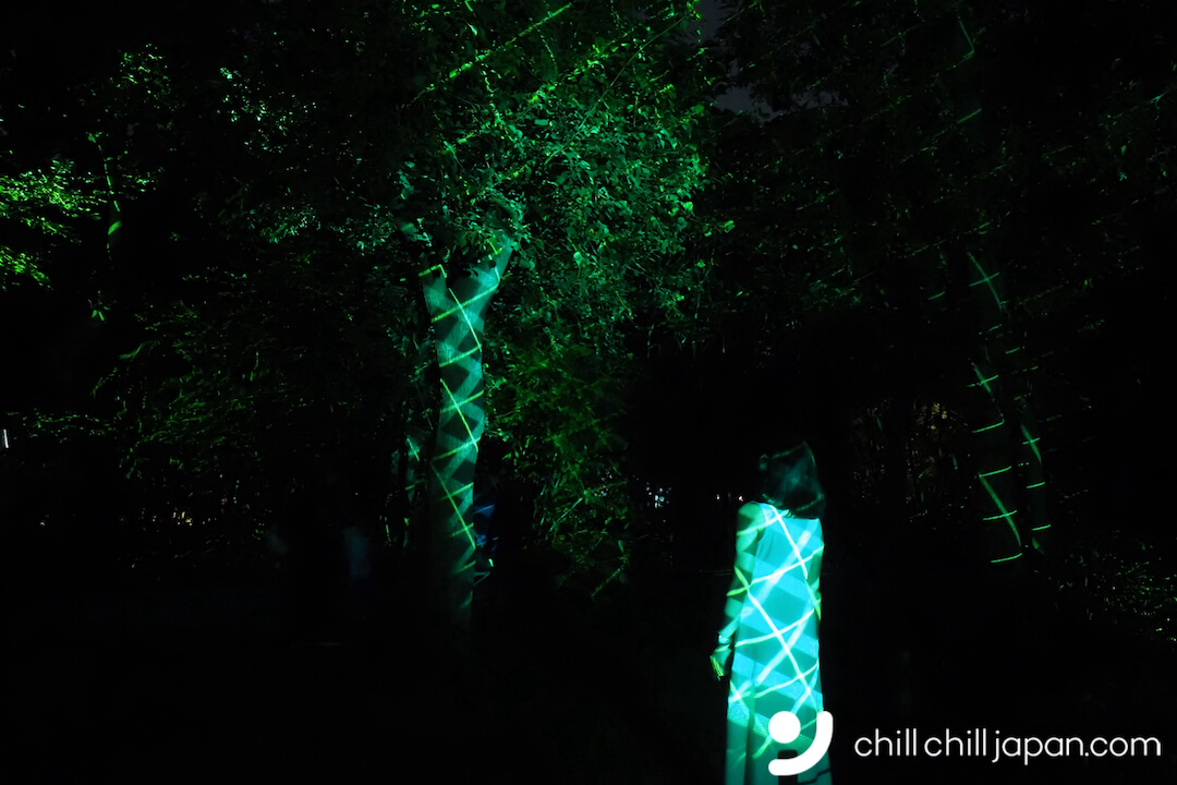 รีวิว “Teamlab Botanical Garden Osaka” นิทรรศกาลศิลปะแปลกใหม่ใจกลาง ...