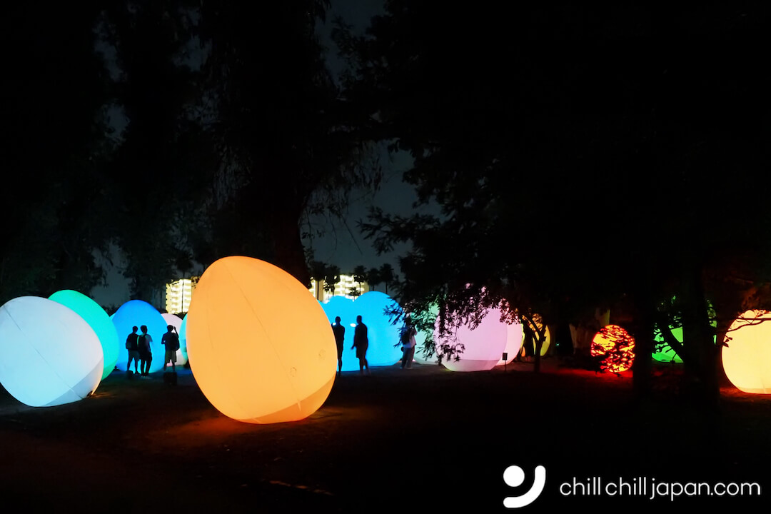 รีวิว “Teamlab Botanical Garden Osaka” นิทรรศกาลศิลปะแปลกใหม่ใจกลาง ...