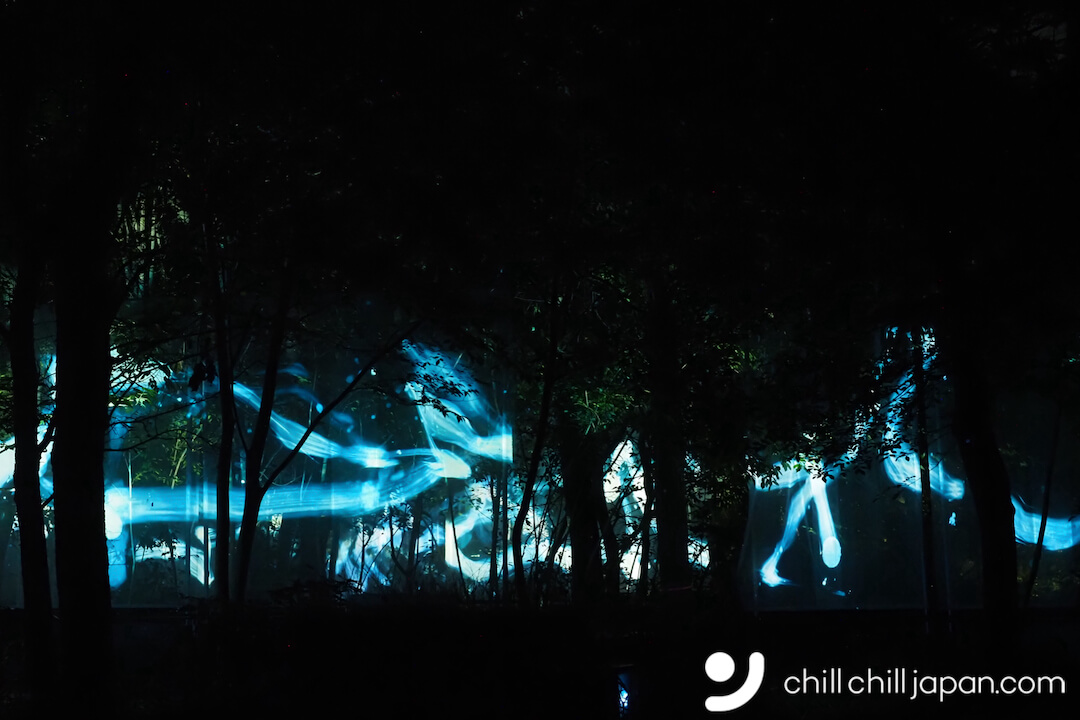 รีวิว “Teamlab Botanical Garden Osaka” นิทรรศกาลศิลปะแปลกใหม่ใจกลาง ...