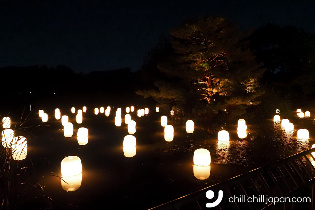 รีวิว “Teamlab Botanical Garden Osaka” นิทรรศกาลศิลปะแปลกใหม่ใจกลาง ...