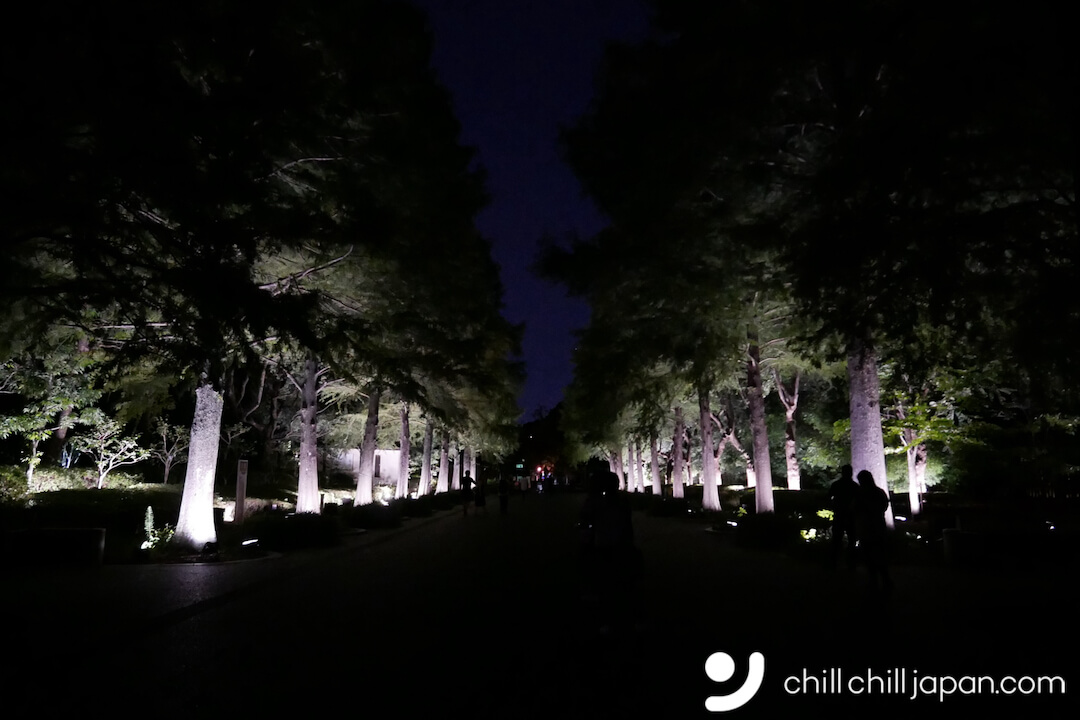 รีวิว “Teamlab Botanical Garden Osaka” นิทรรศกาลศิลปะแปลกใหม่ใจกลาง ...