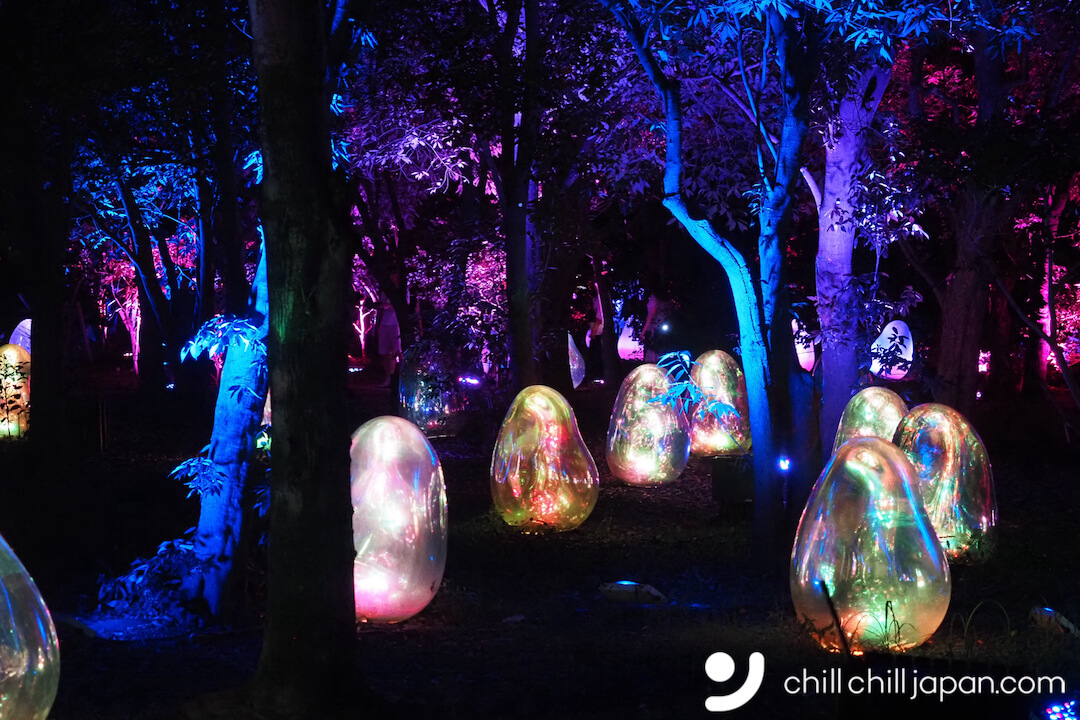 รีวิว “Teamlab Botanical Garden Osaka” นิทรรศกาลศิลปะแปลกใหม่ใจกลาง ...