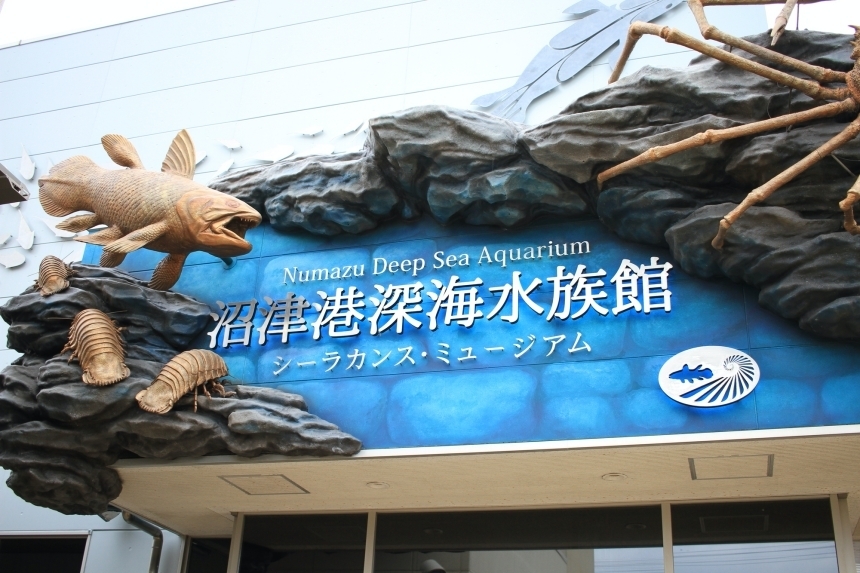 "Numazu Fish Market" ตลาดอาหารทะเลสด ลึกแต่ไม่ลับ แห่งจังหวัดชิสุโอก ...