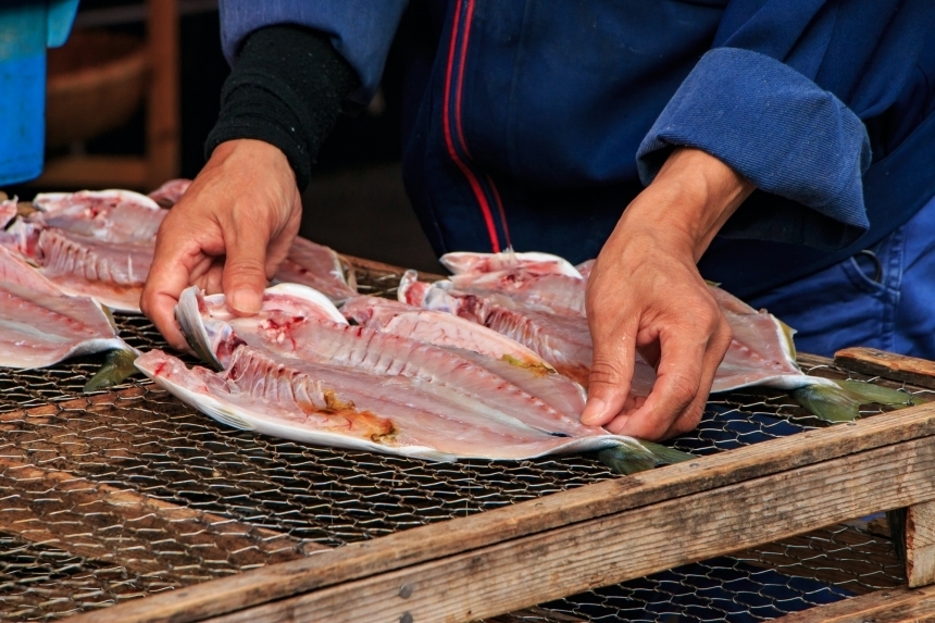 "Numazu Fish Market" ตลาดอาหารทะเลสด ลึกแต่ไม่ลับ แห่งจังหวัดชิสุโอก ...