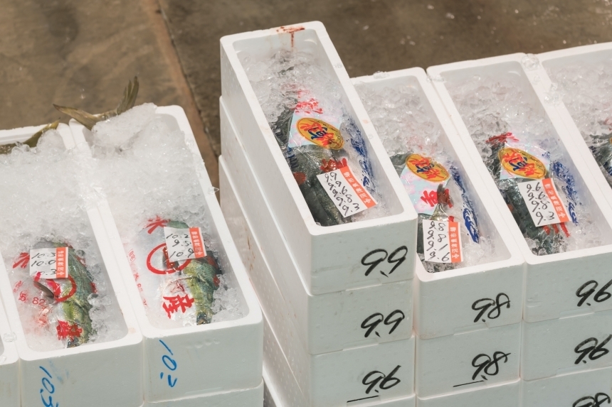 "Numazu Fish Market" ตลาดอาหารทะเลสด ลึกแต่ไม่ลับ แห่งจังหวัดชิสุโอก ...